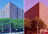Tahl Propp | Deutsche Bank | East Harlem