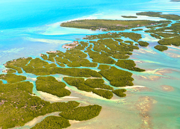 Florida Keys Development, Bonefish Holdings, Wetland Protection