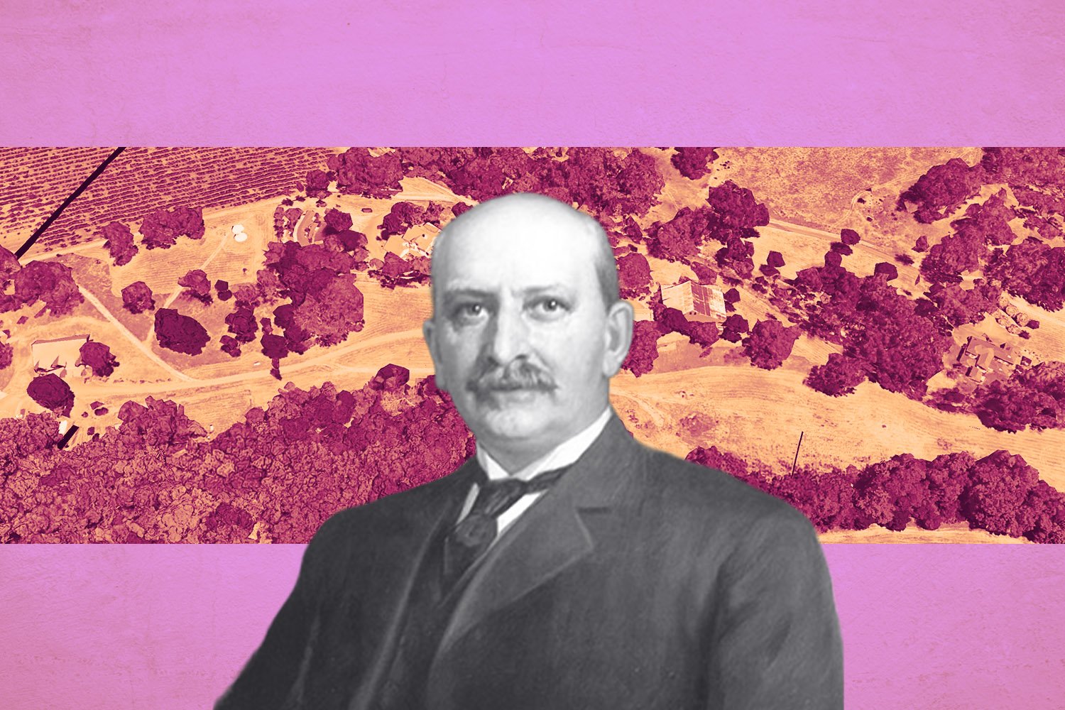 Vineyard Estate in Napa Valley Listed for $100 Million